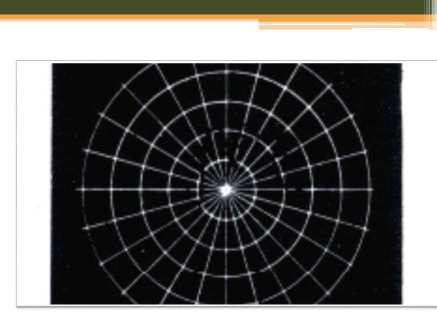 Central and peripheral visual field