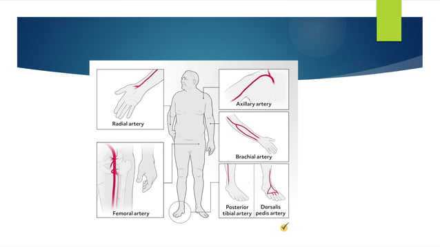 central and arterial line in medicine .pptx | First Aid | Injuries
