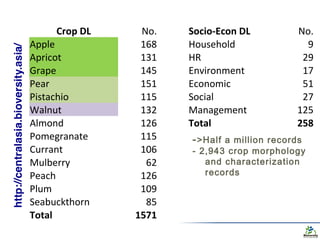 In situ/On farm Conservation and Use of Agricultural Biodiversity ...