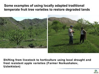 In situ/On farm Conservation and Use of Agricultural Biodiversity ...