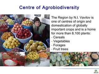 In situ/On farm Conservation and Use of Agricultural Biodiversity ...