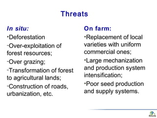 In situ/On farm Conservation and Use of Agricultural Biodiversity ...
