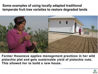 In situ/On farm Conservation and Use of Agricultural Biodiversity ...