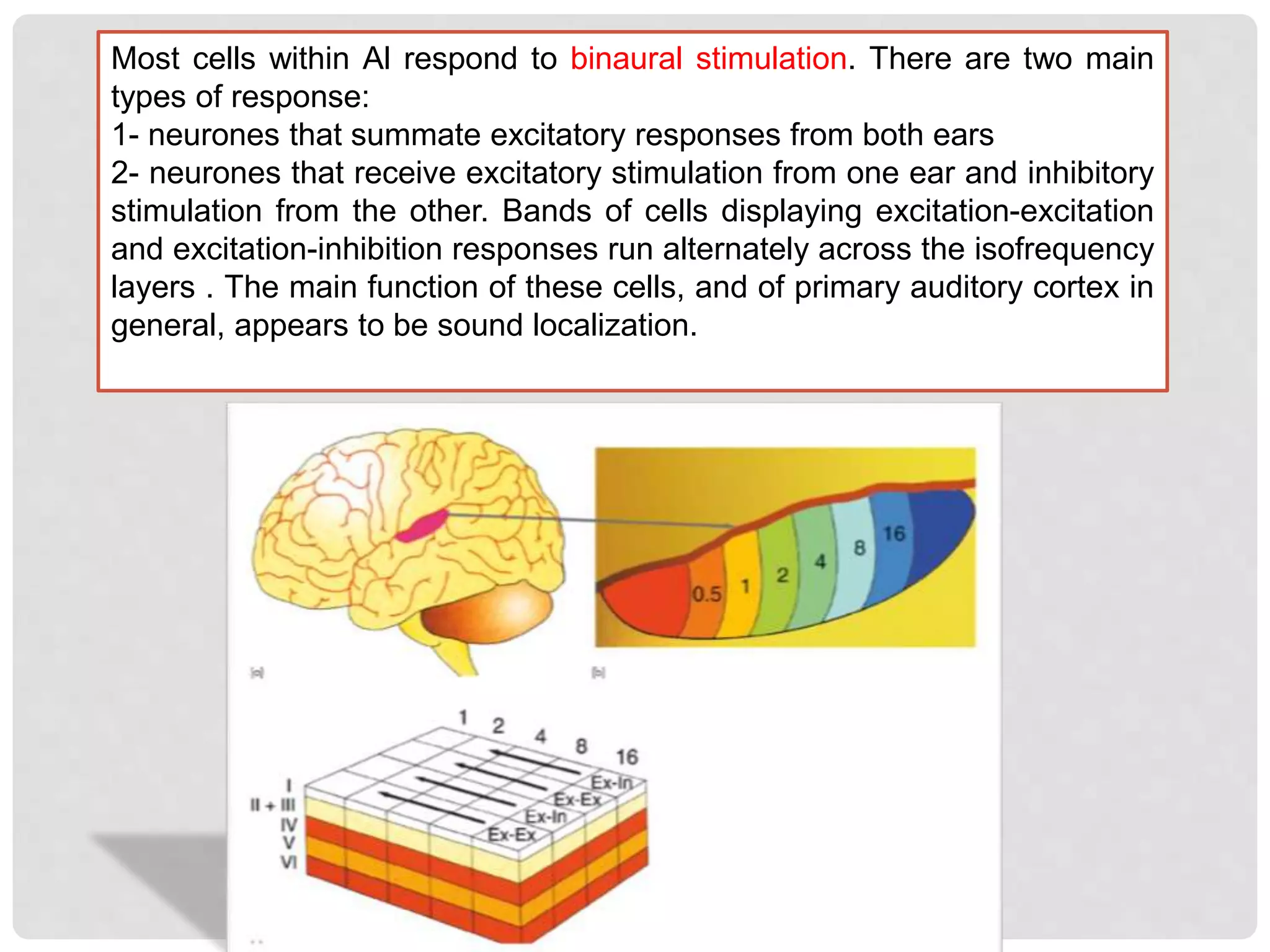 central auditory pathway.pptx