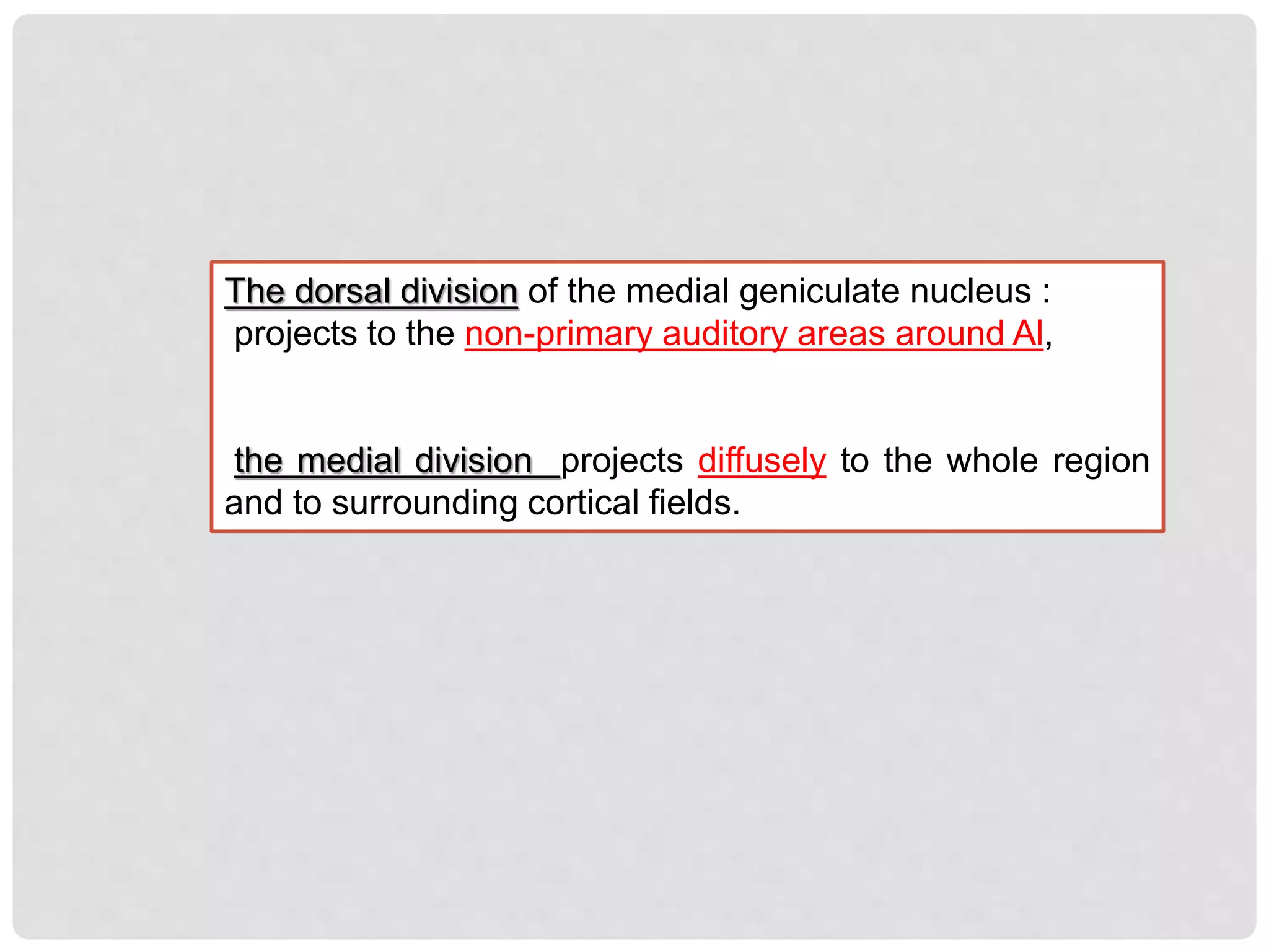 central auditory pathway.pptx