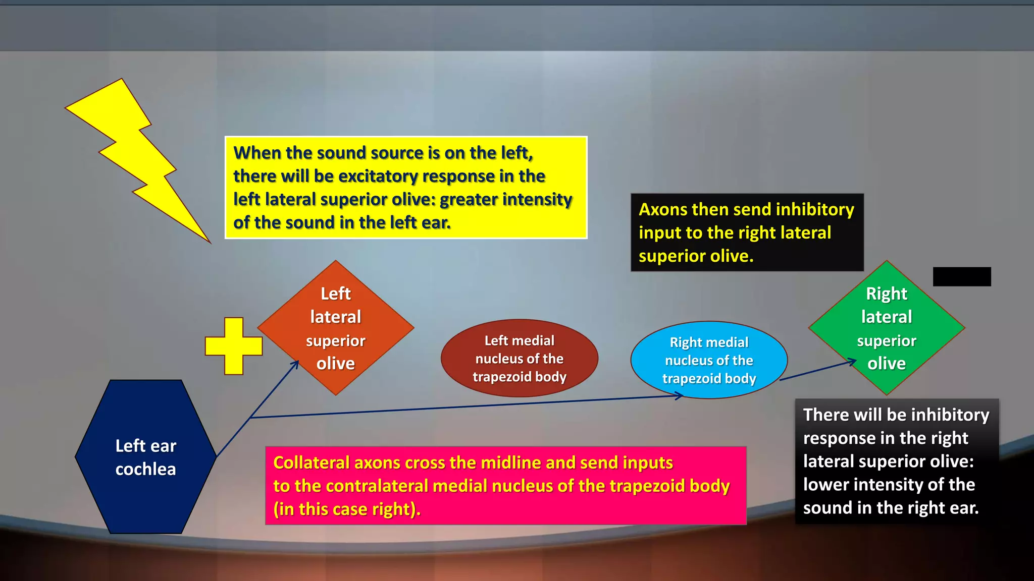 Central auditory processing | PPSX
