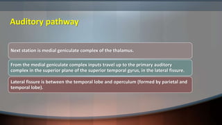 Central auditory processing | PPSX