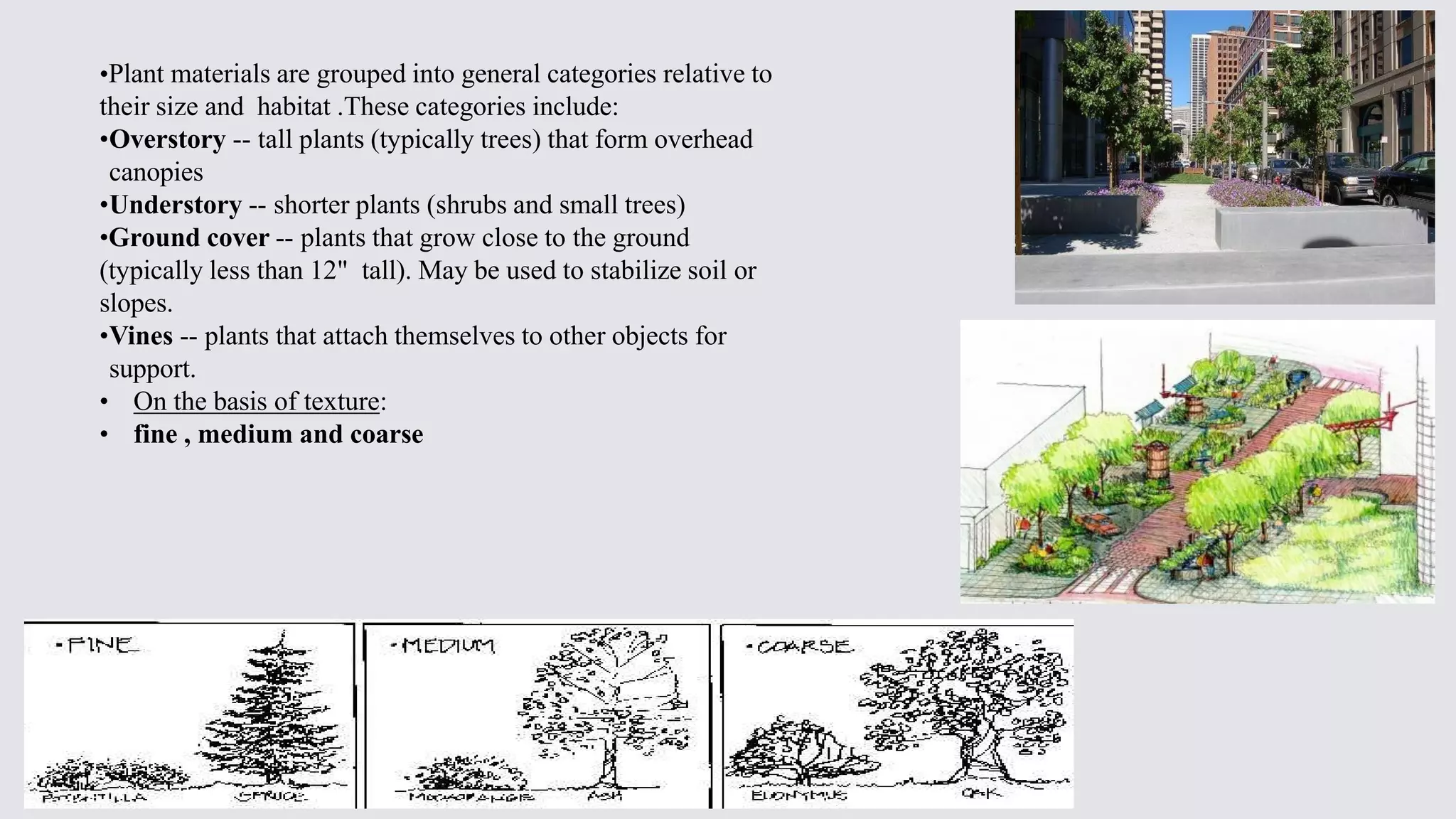 Central business district | PDF