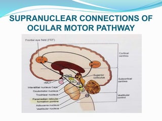 Central control ppt | PPT