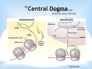 Central dogma | PPT