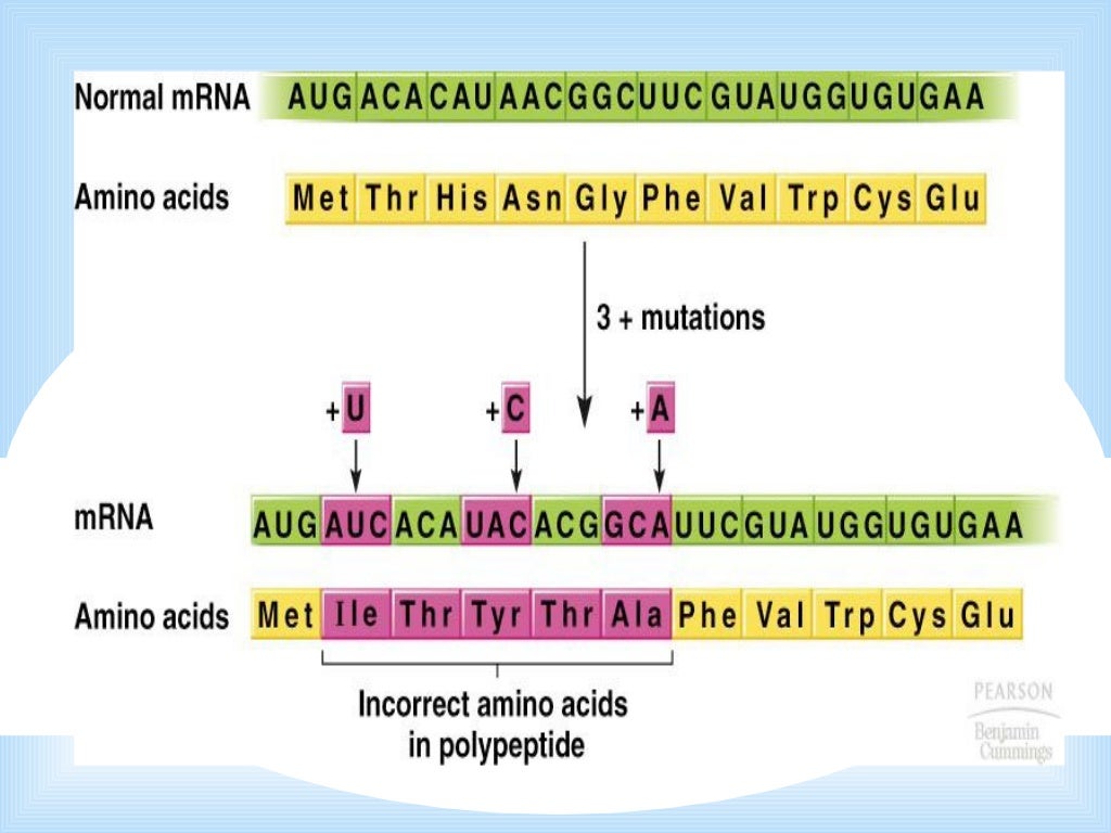 Central dogma
