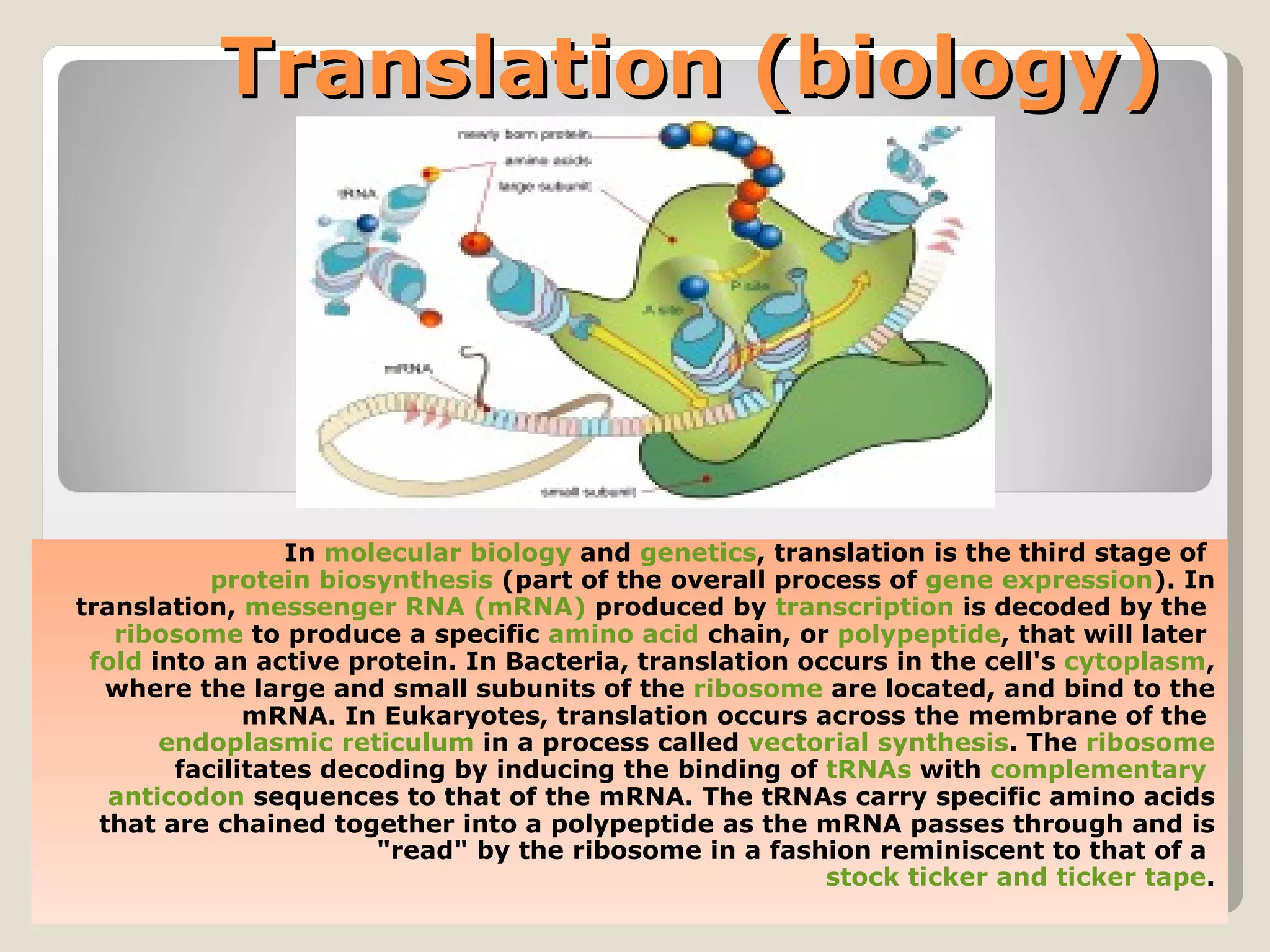 Central dogma | PPT | Chemistry | Science