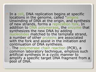 Central dogma | PPT | Chemistry | Science