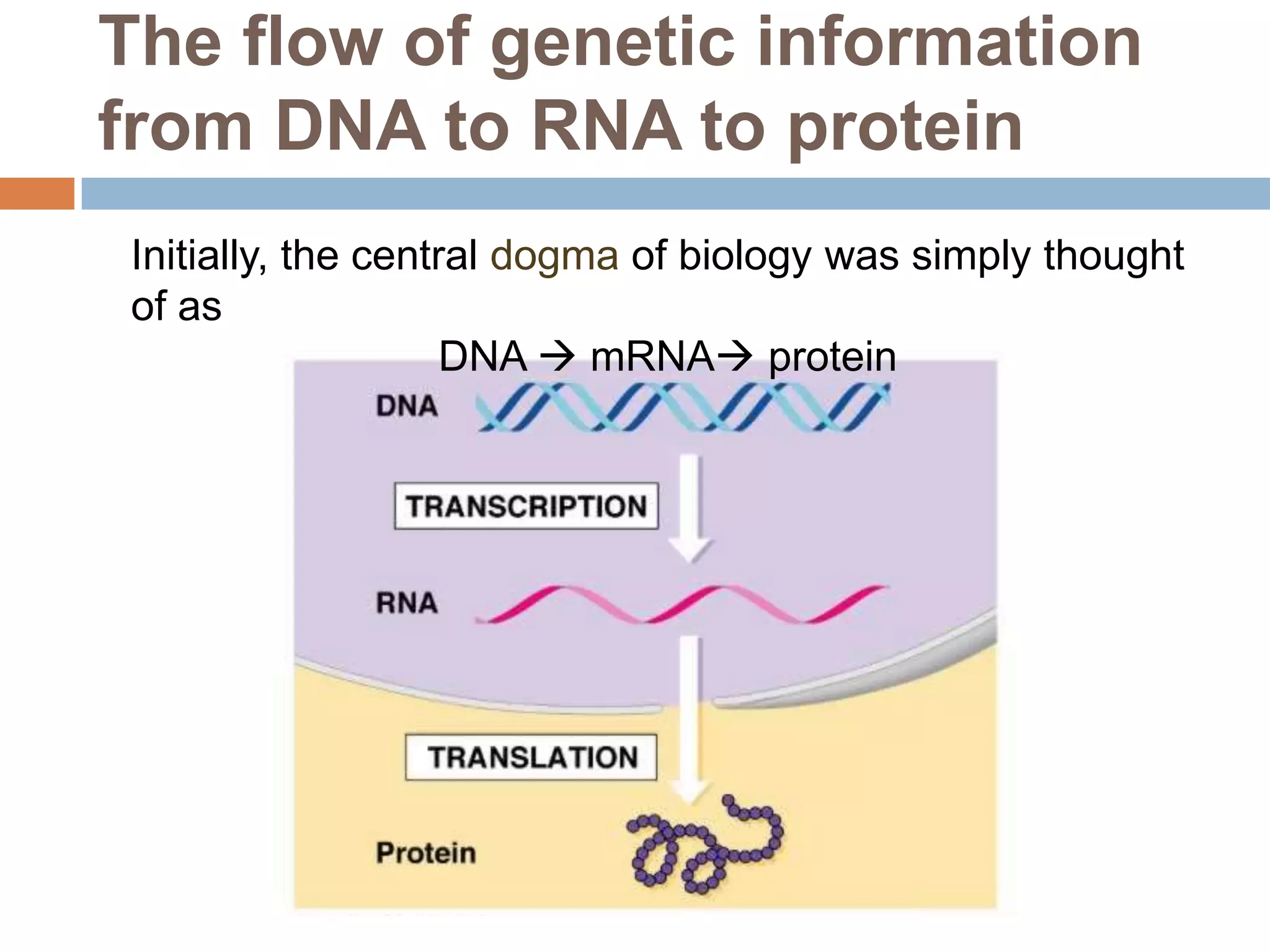 Central dogma | PPTX