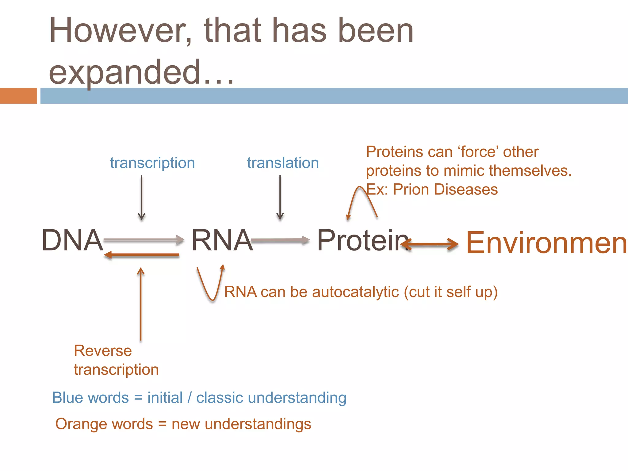 Central dogma | PPTX