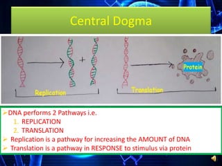 Central dogma | PPT