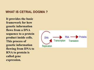 Central dogma | PPTX