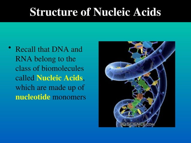 Science Grade 10_Third Quarter Central Dogma.ppt