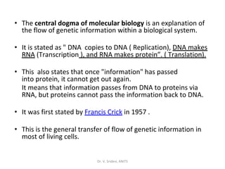 Central dogma.pdf a biology topic by rakesh | PDF
