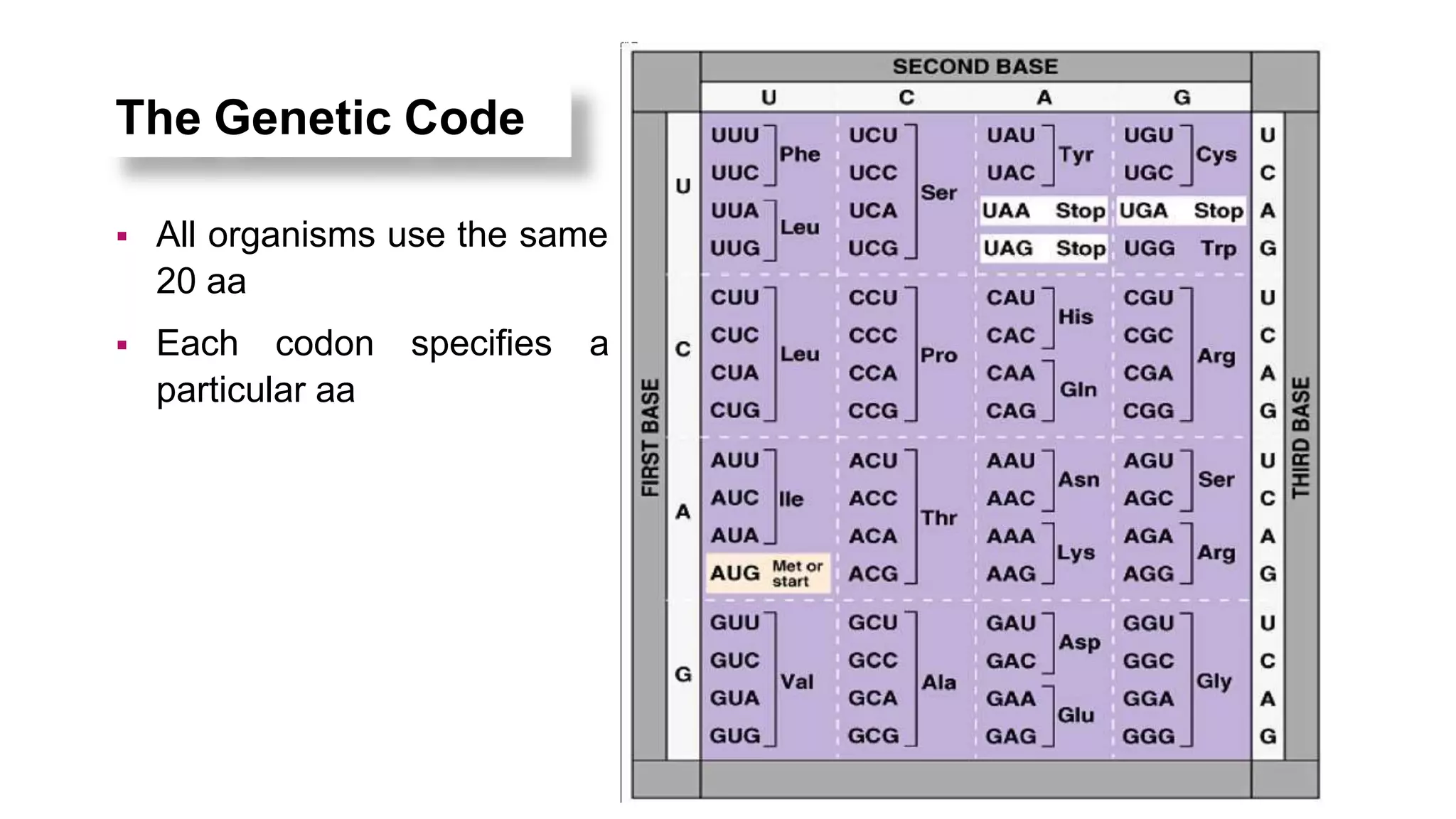 Central Dogma-Cell Theory.pptx | Programming Languages | Computing