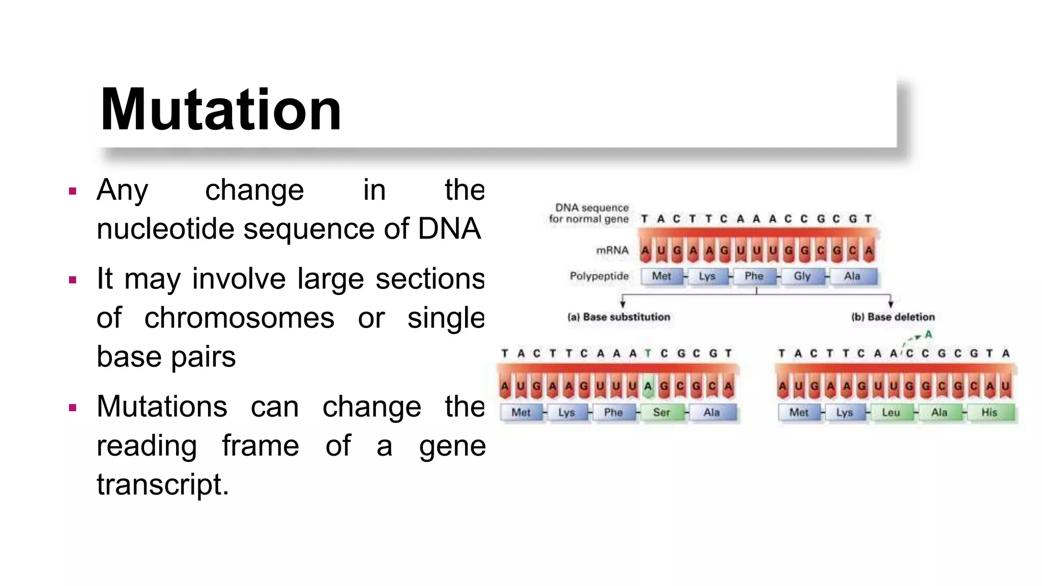 Central Dogma-Cell Theory.pptx