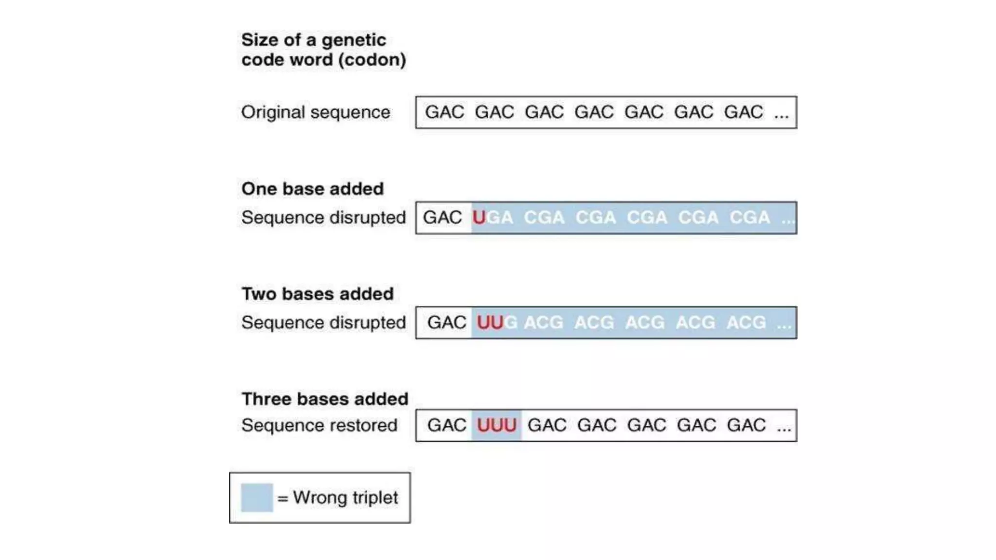 Central Dogma-Cell Theory.pptx | Programming Languages | Computing