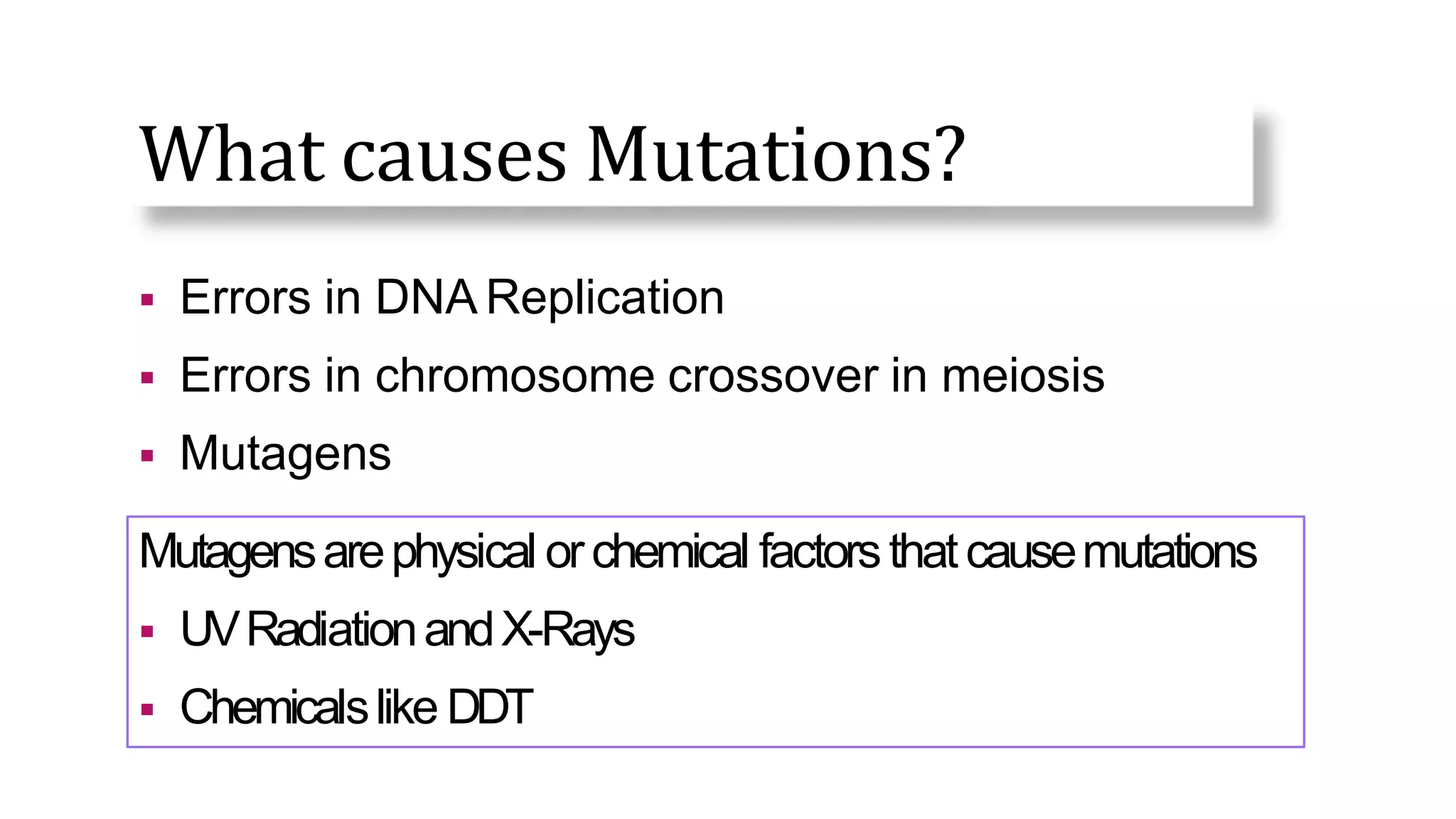 Central Dogma-Cell Theory.pptx | Programming Languages | Computing
