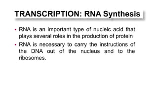 Central Dogma-Cell Theory.pptx | Programming Languages | Computing