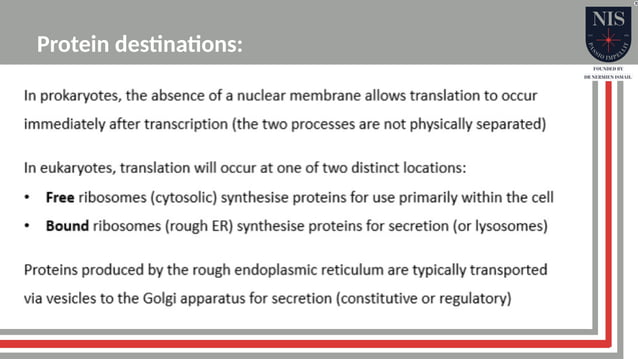 Central Dogma - Translation & Transcription.pptx