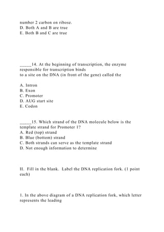 Central Dogma Assignment Print Name ________________.docx