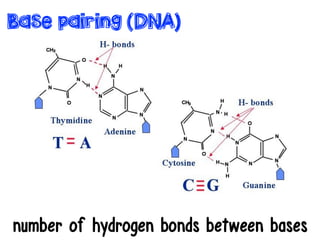 Central dogma chem edition | PPT