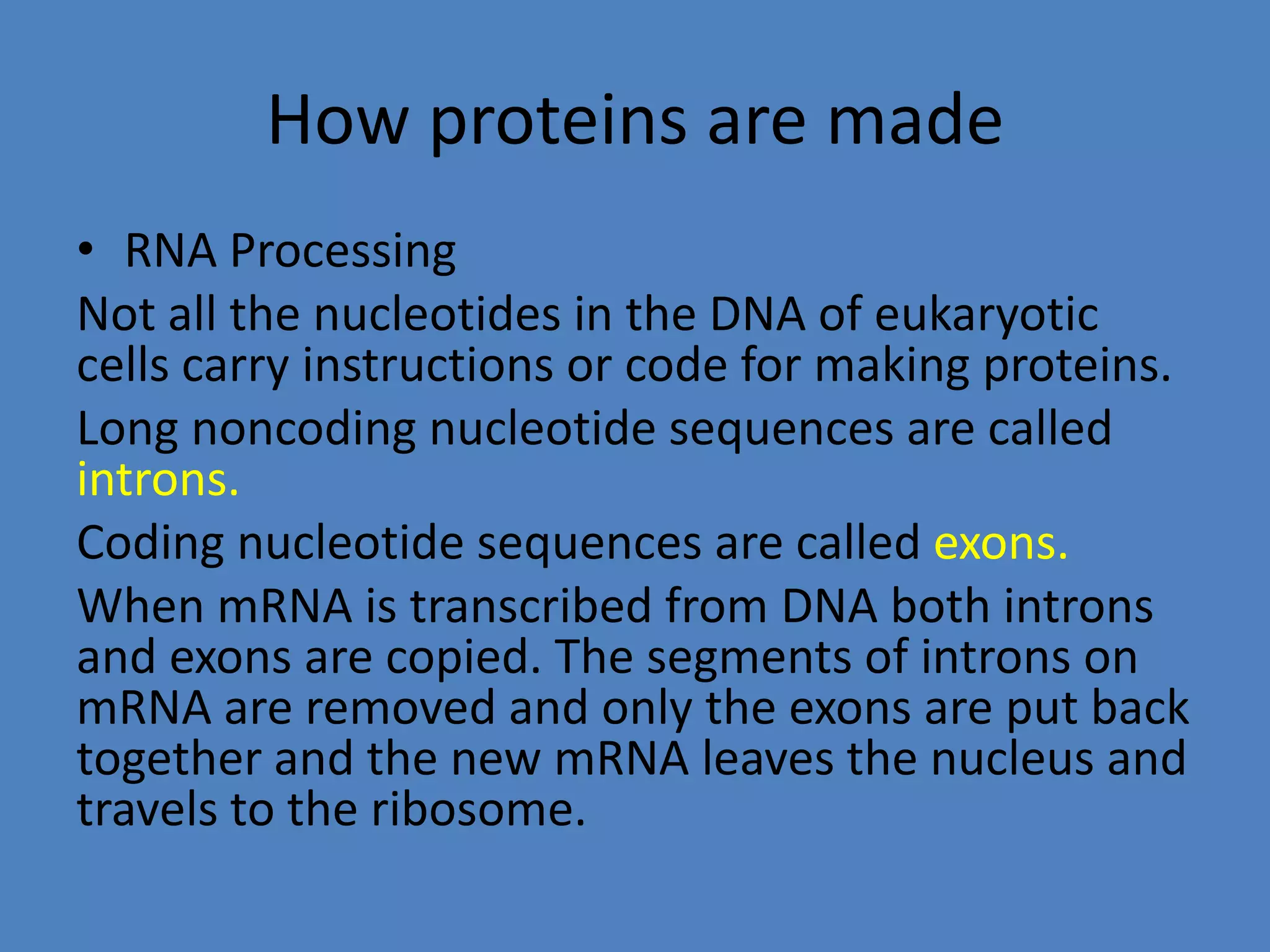Central dogma of biology | PPTX
