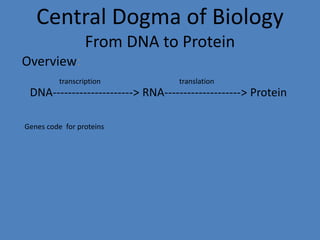 Central dogma of biology | PPTX
