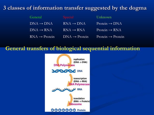 Central dogma of life | PPT | Biological Sciences | Science