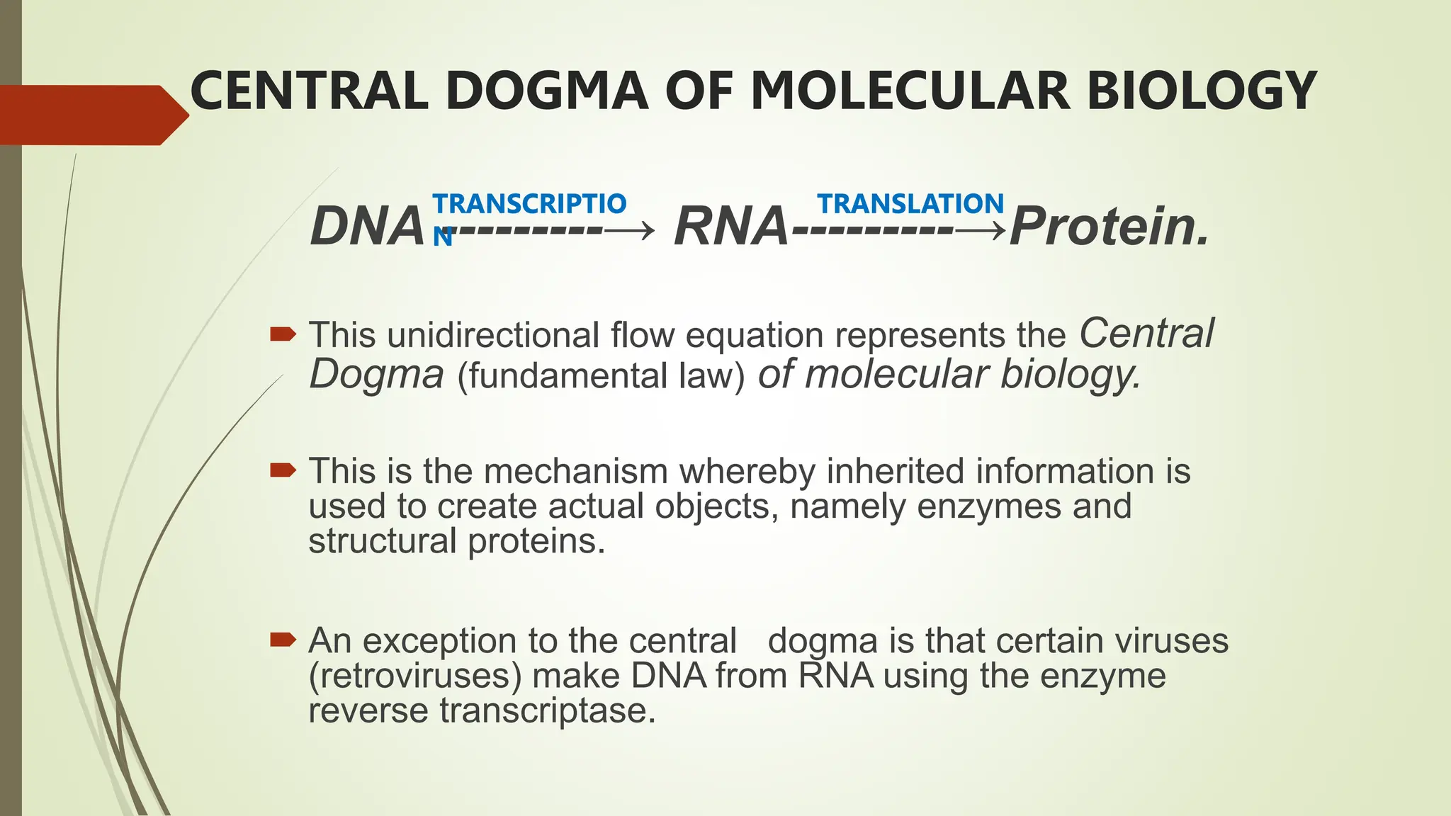 CENTRAL DOGMA OF MOLECULAR.pptx