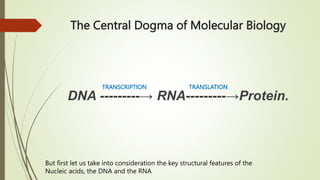 CENTRAL DOGMA OF MOLECULAR.pptx