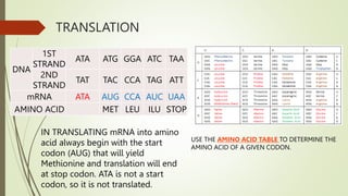 CENTRAL DOGMA OF MOLECULAR.pptx