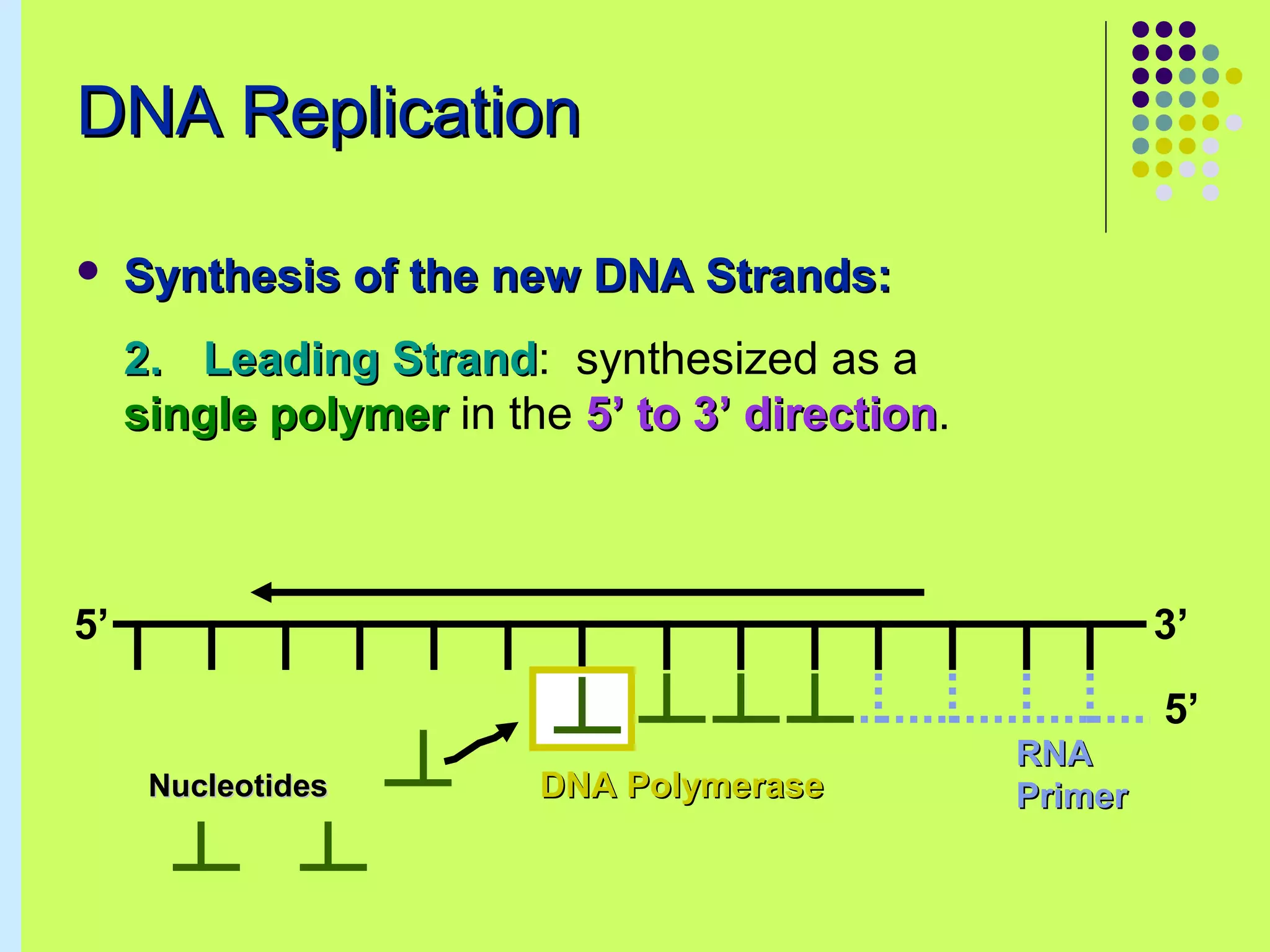 Central dogma of molecular biology | PPT