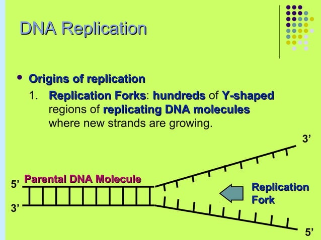 Central dogma of molecular biology | PPT | Chemistry | Science