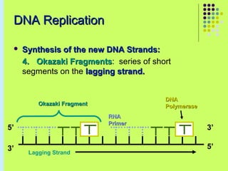 Central dogma of molecular biology | PPT