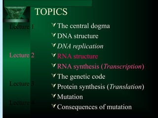Central dogma of molecular biology | PPT