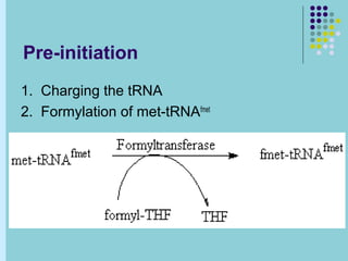 Central dogma of molecular biology | PPT