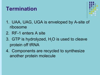 Central dogma of molecular biology | PPT