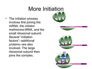 Central dogma of molecular biology | PPT