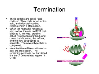 Central dogma of molecular biology | PPT