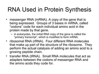 Central dogma of molecular biology | PPT