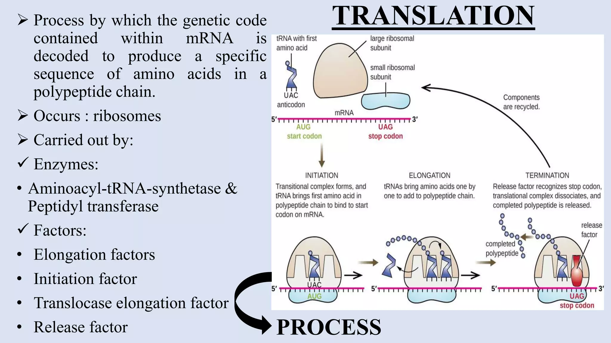 Central dogma of molecular biology | PPTX