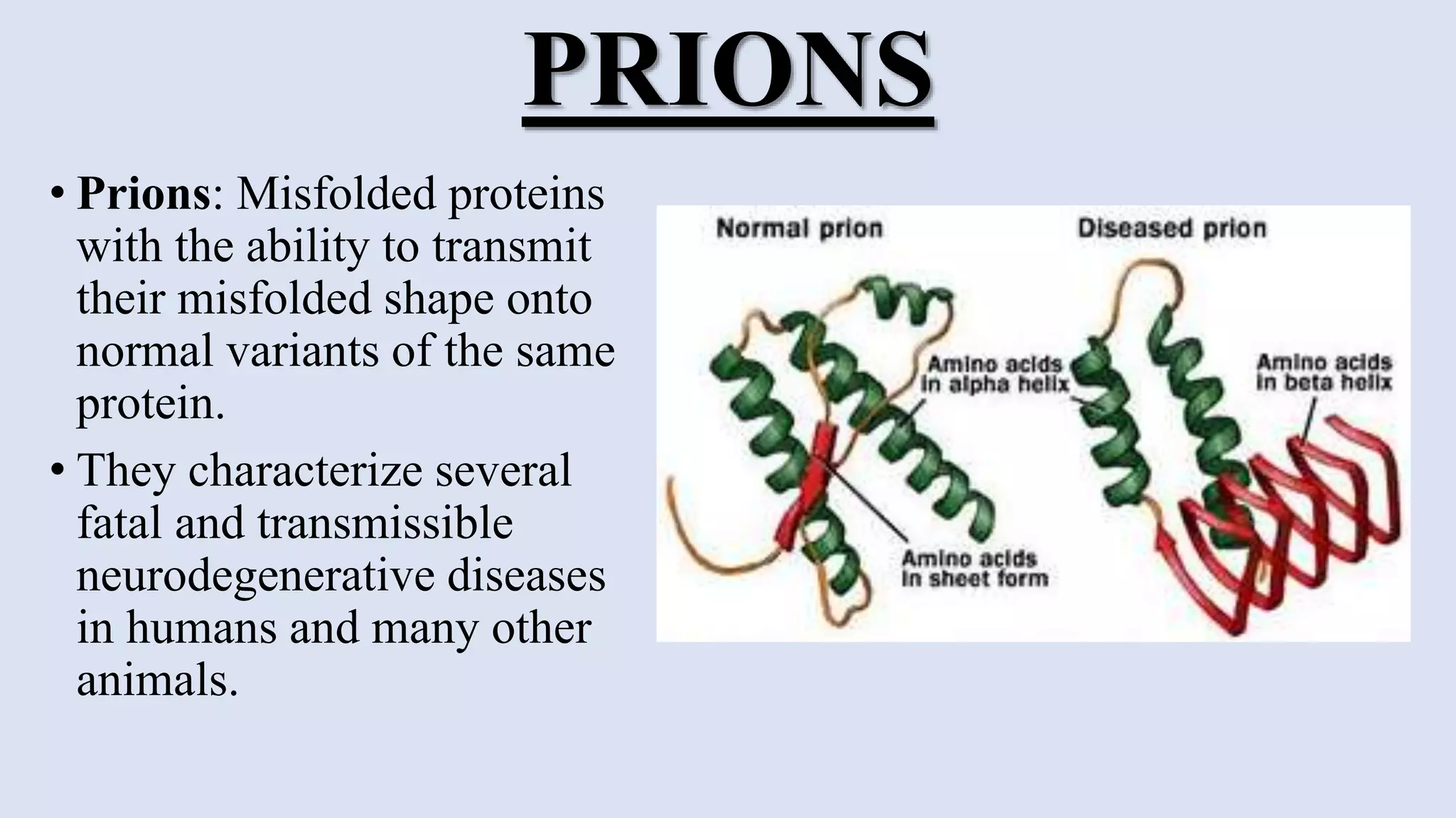 Central dogma of molecular biology | PPTX