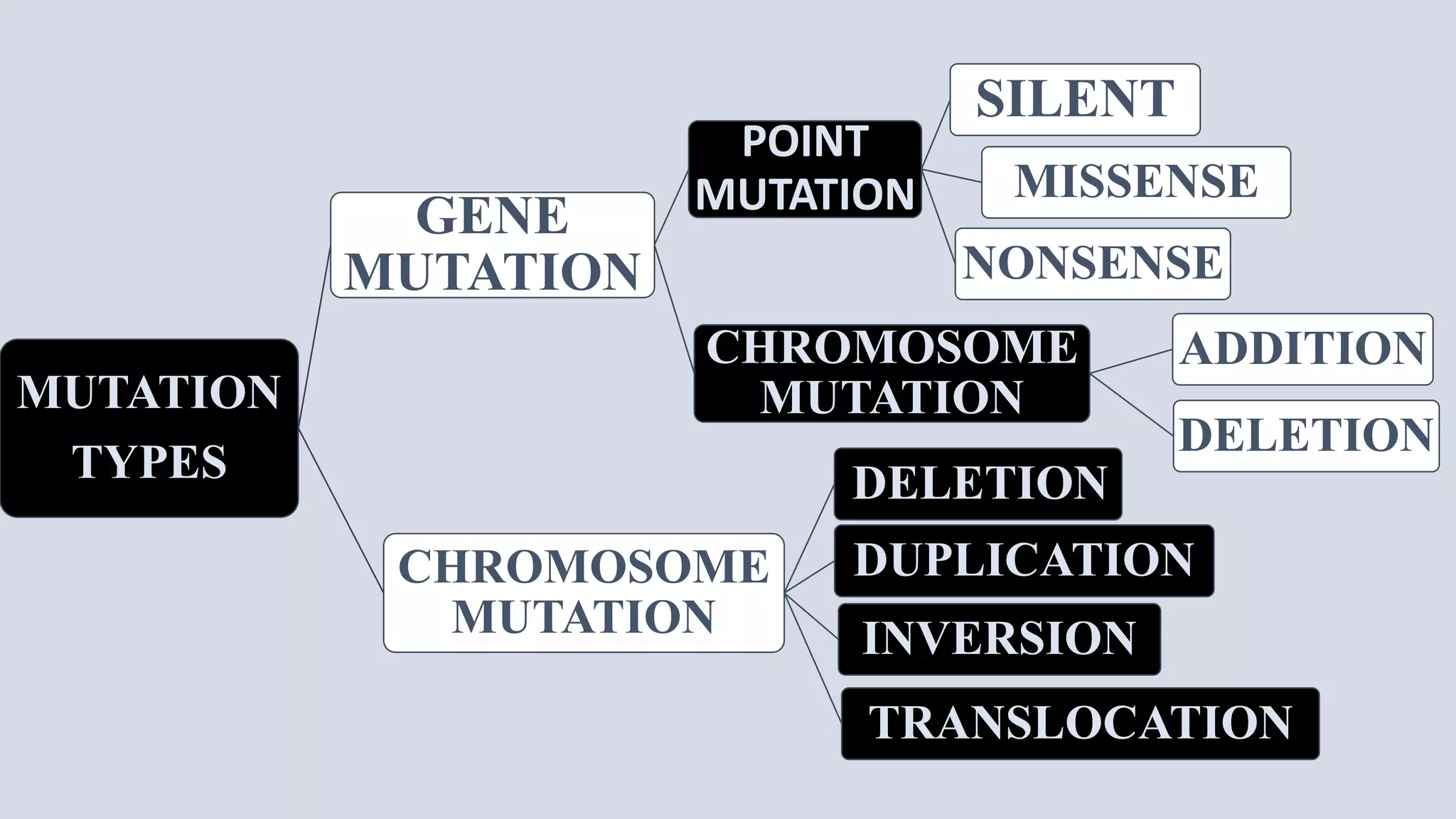 Central dogma of molecular biology | PPTX