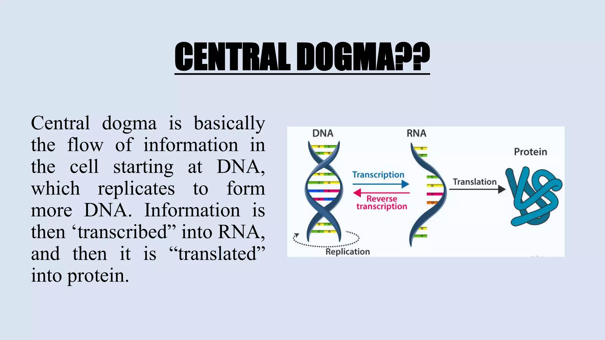 Central dogma of molecular biology | PPTX